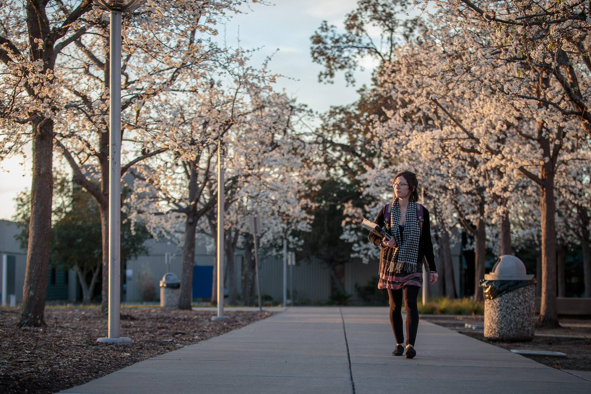 Study in USA at Merritt College | ApplyBoard