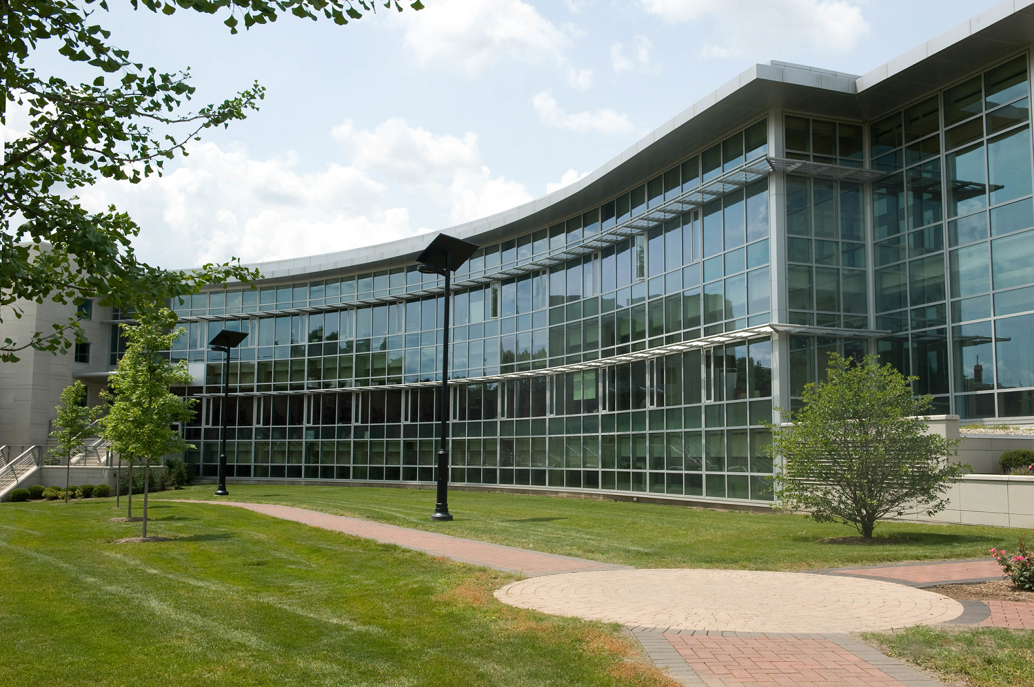 Bachelor of Science in Public Health | Lewis University